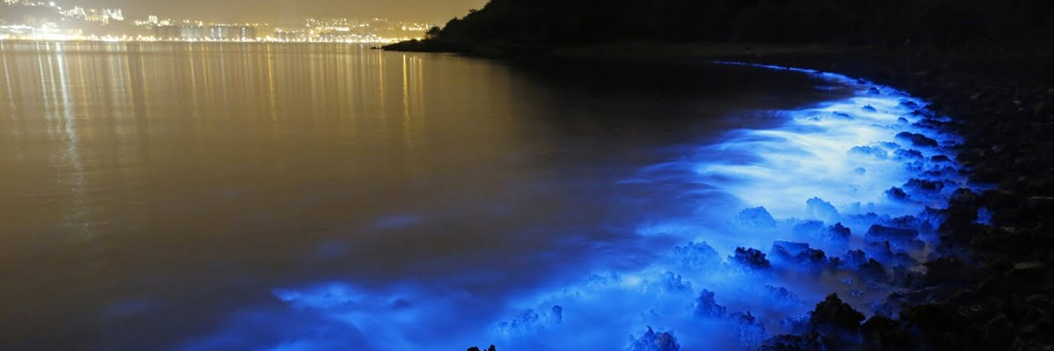 Santa Teresa & Malpais Tours & Activities 2022